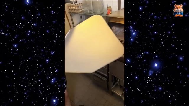 Я РЖАЛ ДО СЛЕЗ😂  15 Минут ОТБОРНЫХ ПРИКОЛОВ 2025 Смешные видео
