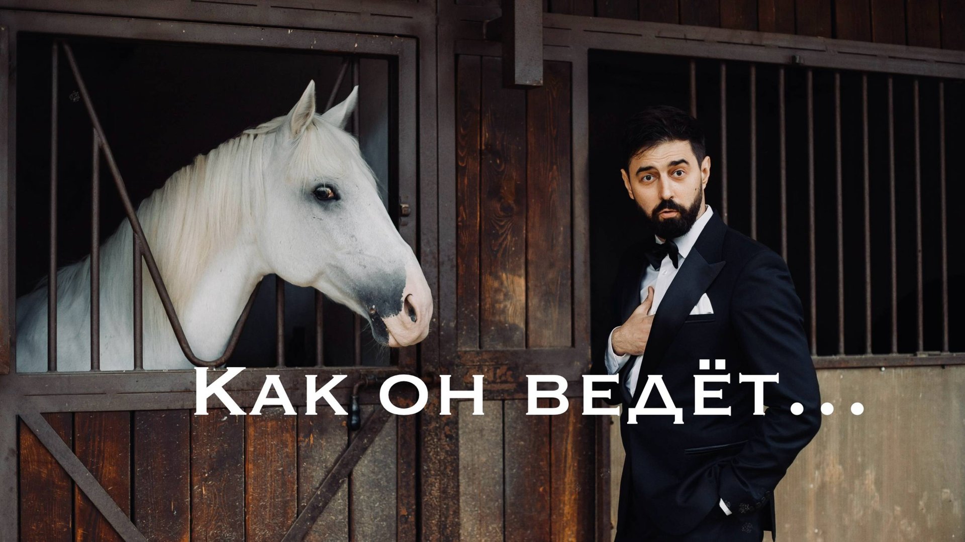 Ведущий на свадьбу - Фил Девишев. Live