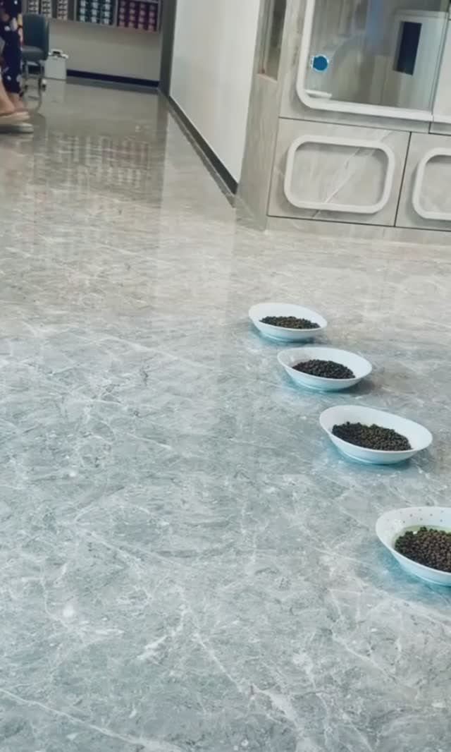 🤣 Генераторы хаоса !!! 🤣