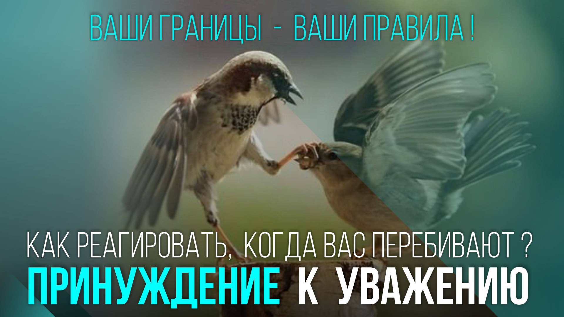 ПРИНУЖДЕНИЕ К УВАЖЕНИЮ. Ваши границы — ваши правила. Как реагировать, когда вас перебивают?