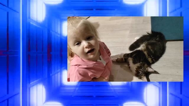 Доашние питоцы