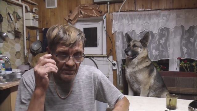 Мой фильм   Едем покупать резину на мою машину