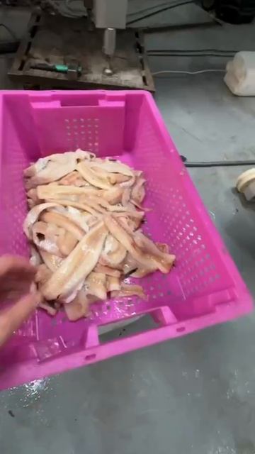 Baader 51 Шкуросъёмная машина для рыбы