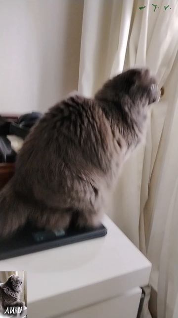 Беспокойство