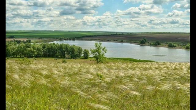 Павел Поляков. Мать