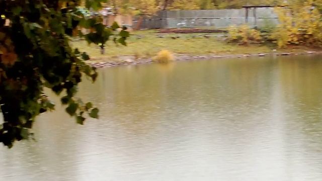 Большой Перовский пруд. Цикл Старинные пруды России.