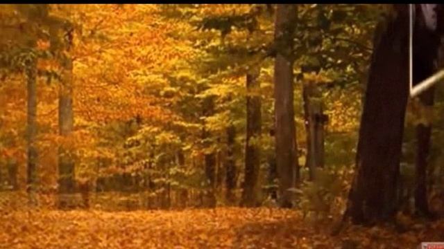 Галина Воленберг, Осень, что ты делаешь со мною..., муз. и исп. Самуил Фрумович