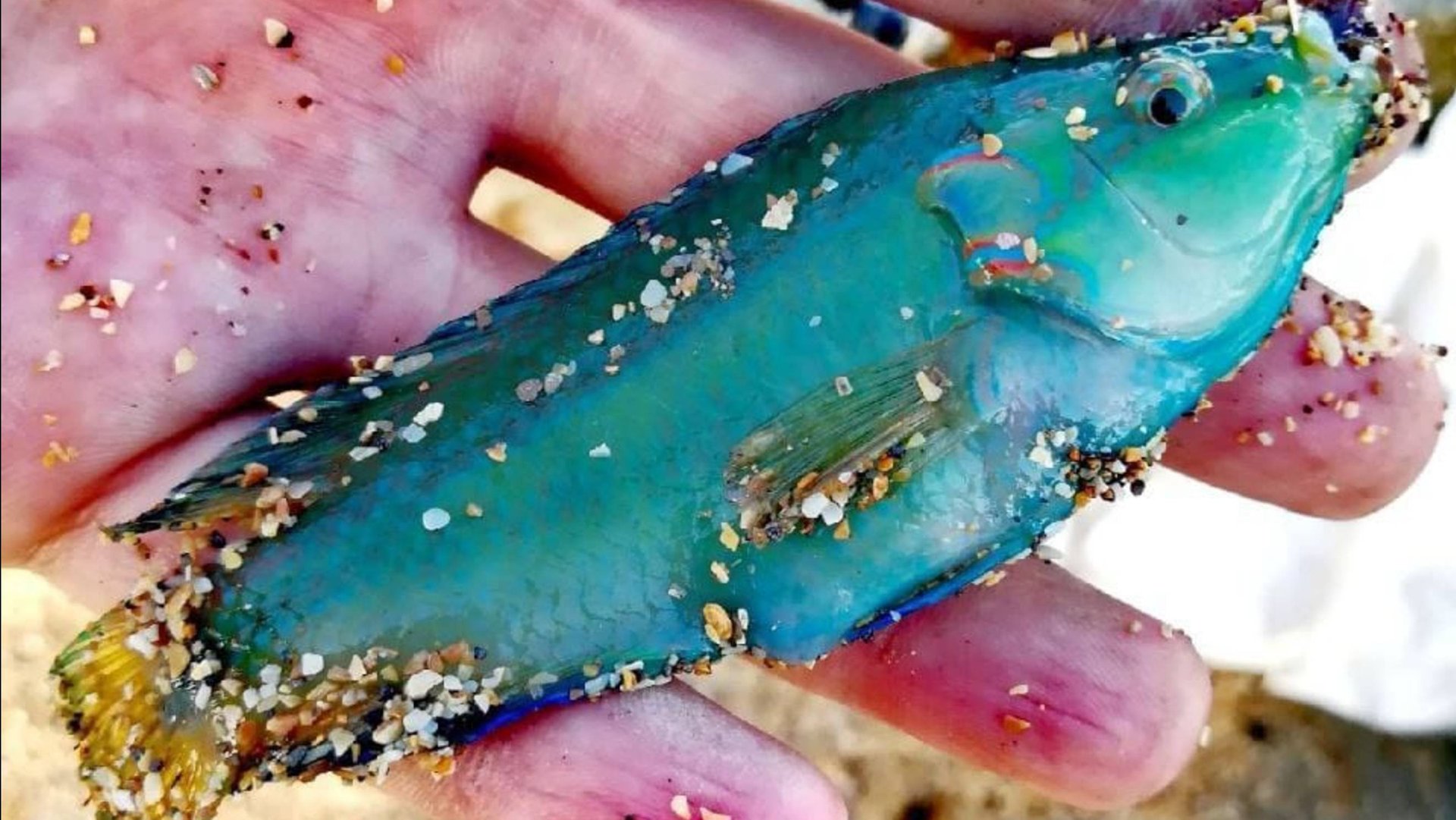 ПРОСТОЙ СПОСОБ ЛОВЛИ САРГАНА в Крыму! 🔥разгадал СЕКРЕТ☺️ успешной рыбалки!