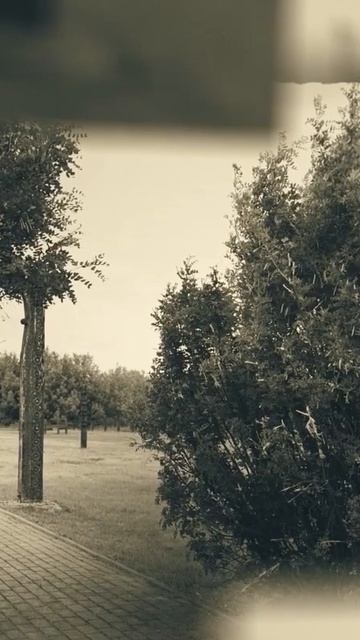 "Их никто не звал": в Острогожском районе пообщались с бывшими узниками нацистских концлагерей