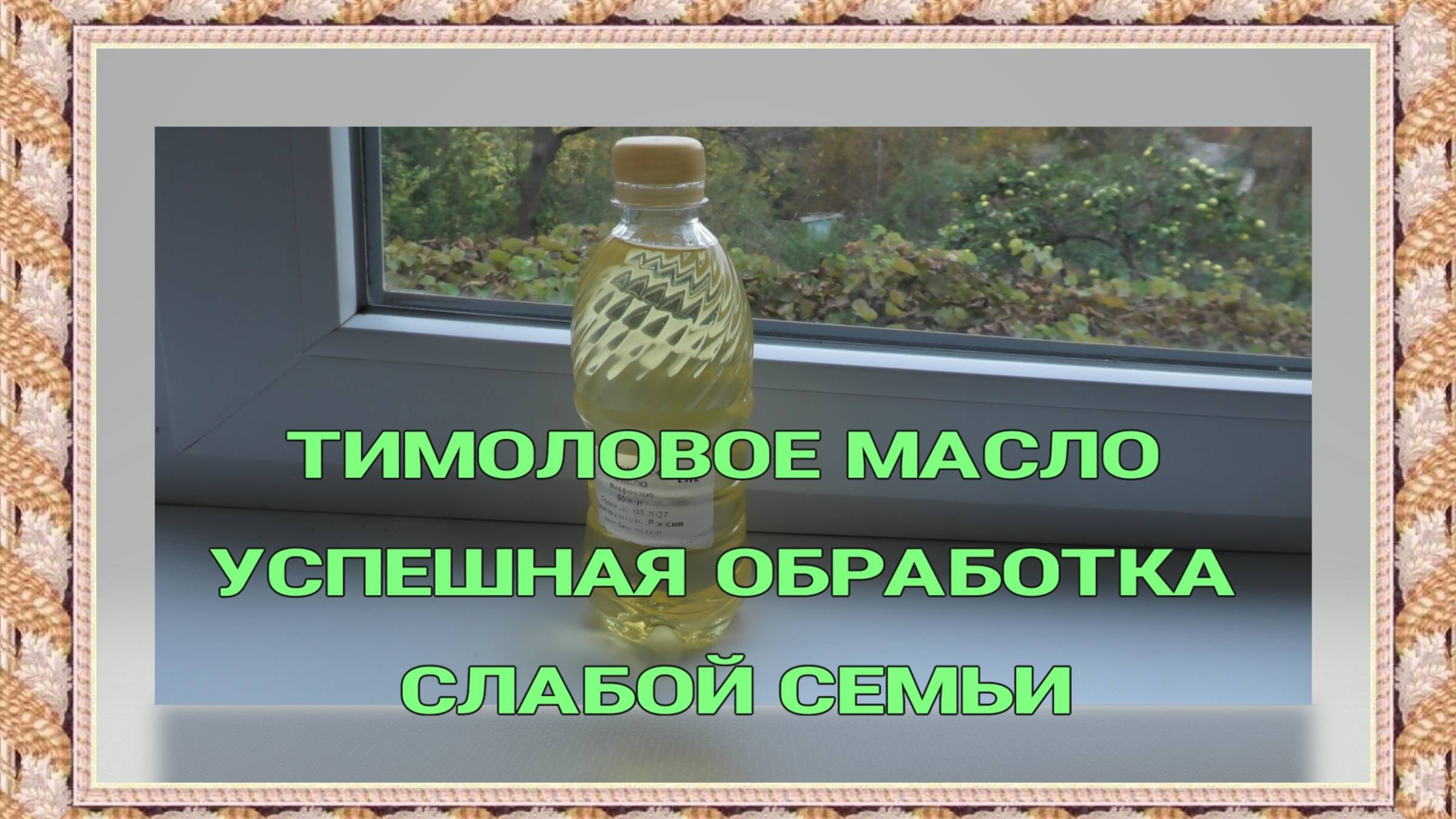 КАК ПРОЛЕЧИТЬ СЛАБУЮ СЕМЬЮ ОТ КЛЕЩА ВАРРОА.