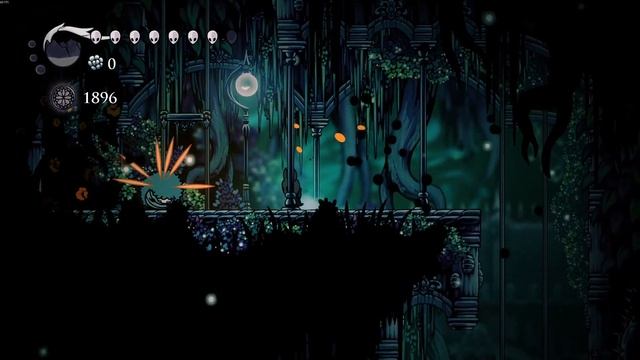Hollow Knight [65]