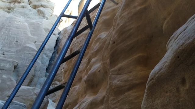 Ползаем по лестницам в Парке Тимна!