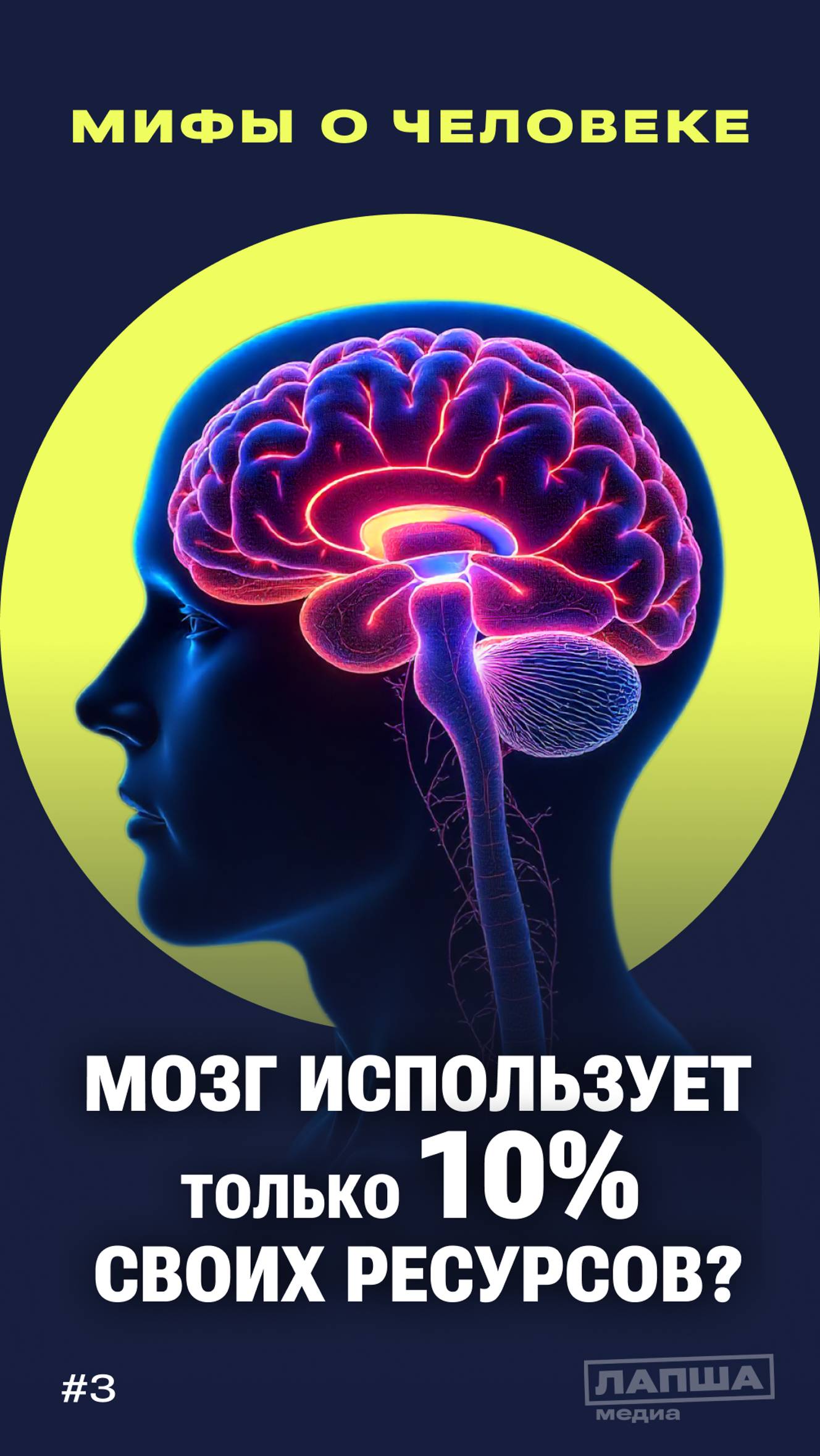 МИФЫ О ЧЕЛОВЕКЕ: мозг использует только 10% своих ресурсов?