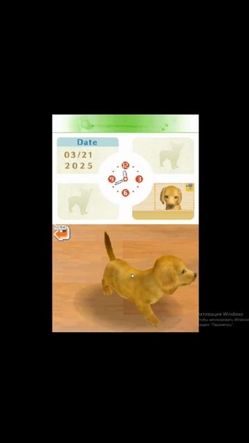 Nintendogs Dachshund & Friends #1
