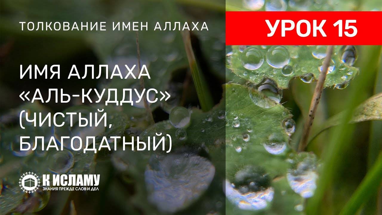 15) Имя Аллаха «аль-Куддус» — Чистый, Благодатный | Ринат Абу Мухаммад