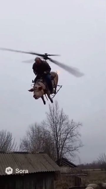 Новейший ударный гвинтокрыл ВСУ