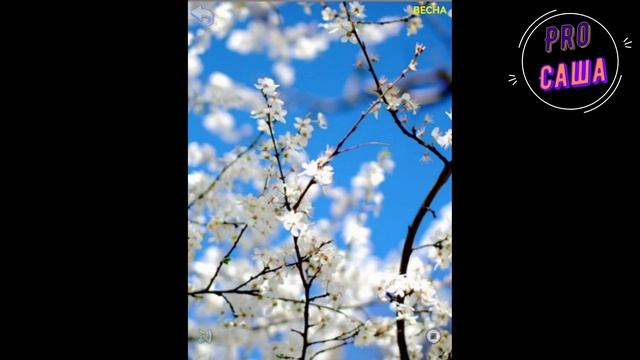 Времена года. Развивающие игры. Обучение. Дети. Игры.