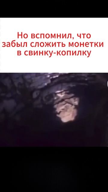 Жиза. Мем по террарии 5 часть #shorts #террария