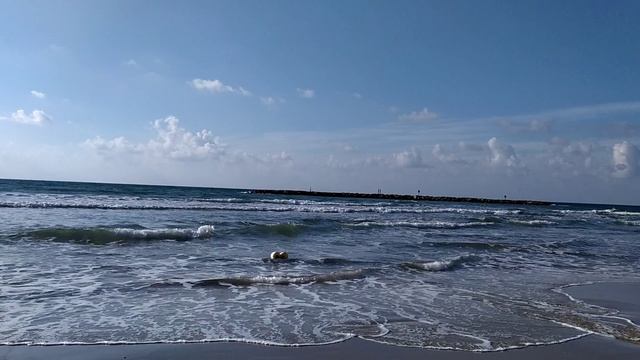 Только приехали в Тель-Авив и сразу на пляж!