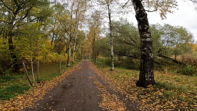 Полежаевский парк etc