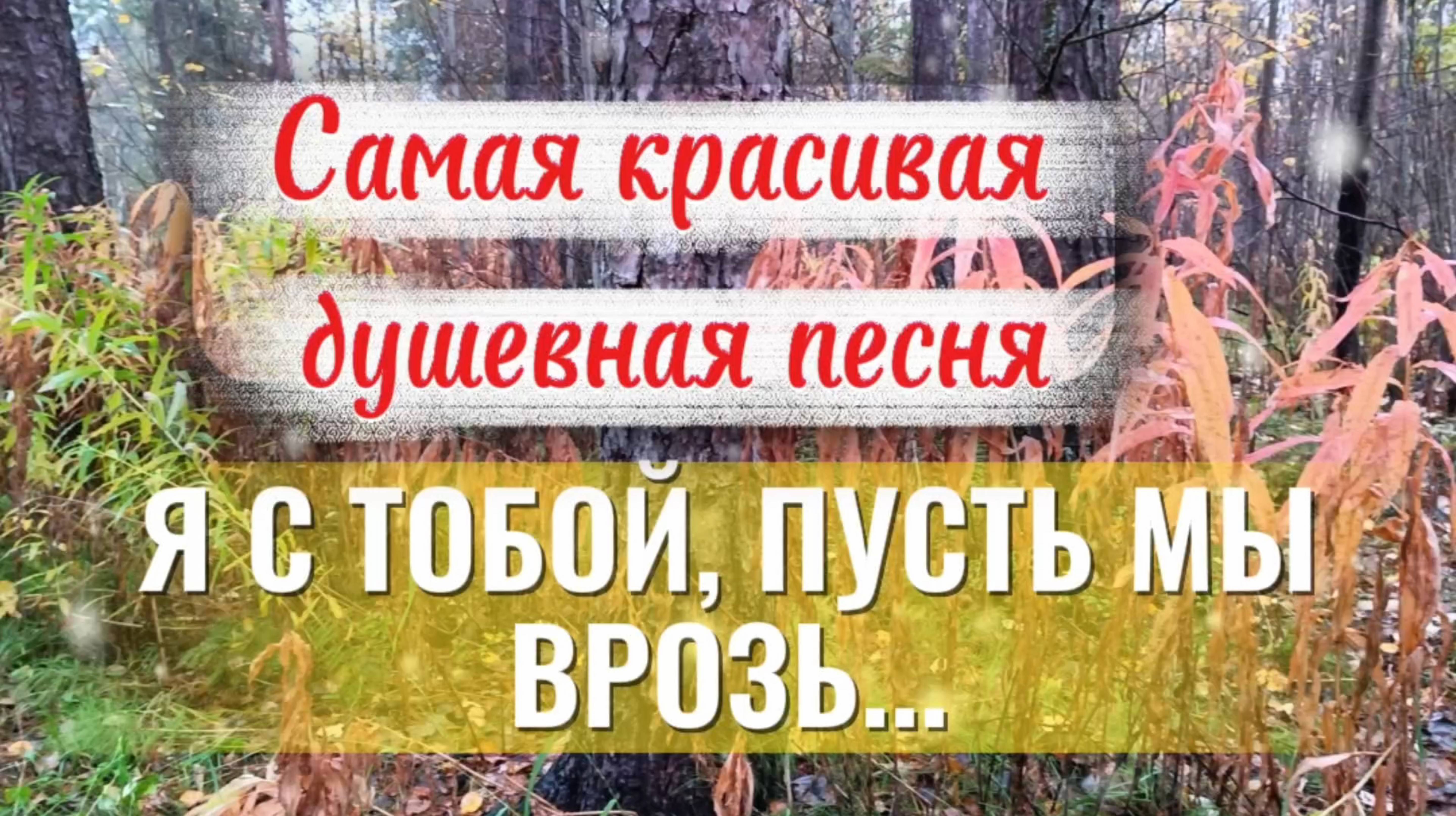 САМАЯ КРАСИВАЯ ПЕСНЯ "Я С ТОБОЙ, ПУСТЬ МЫ ВРОЗЬ" из к/ф "Мой ласковый и нежный зверь"