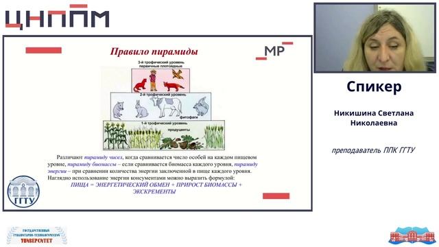 Разбор заданий по теме "Правило пирамиды энергии" для студентов СПО