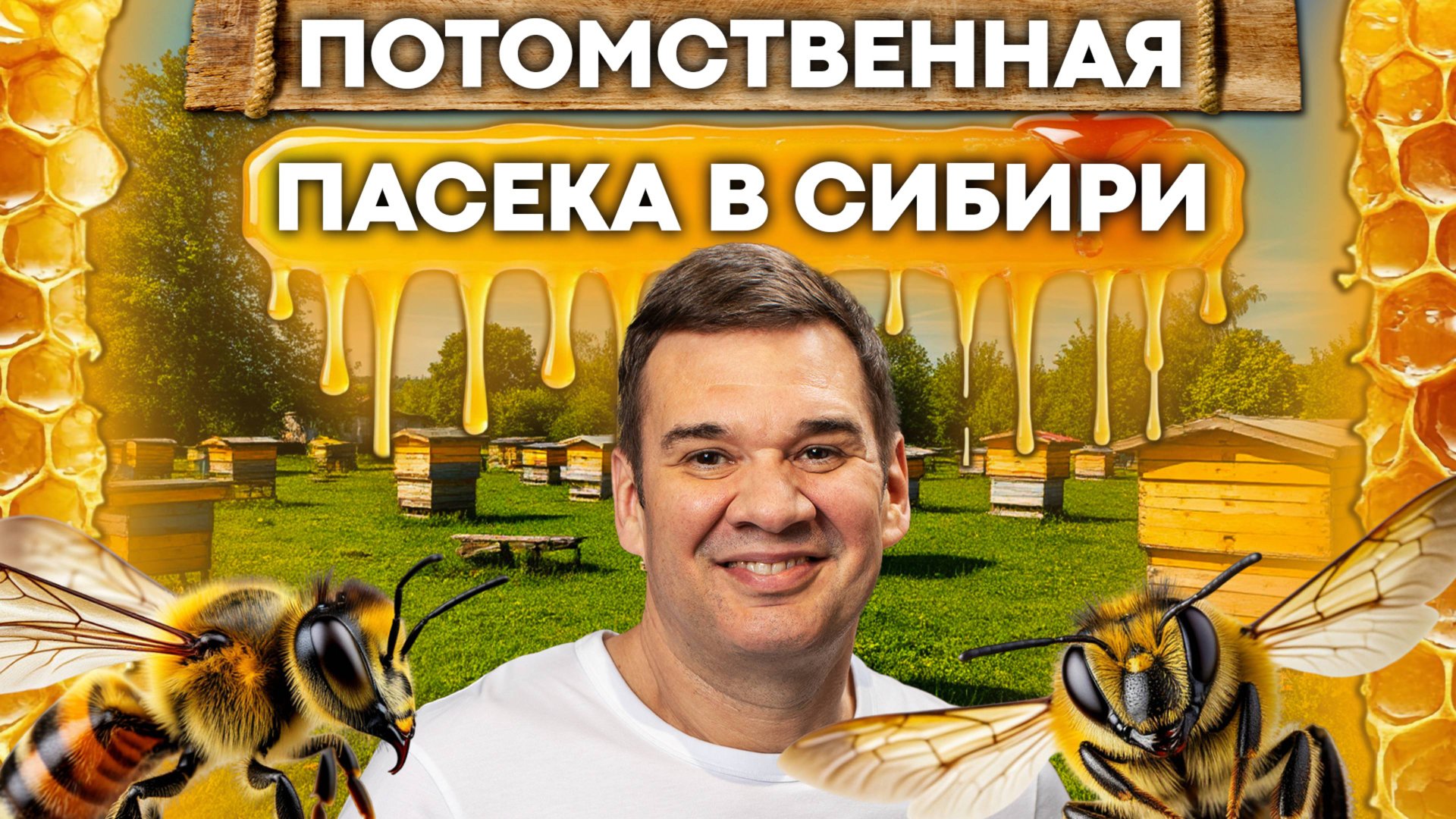 Как разводят пчёл в Сибири: пасека, мёд, пчеломатки и семейный бизнес | Пчеловодство | Своя еда