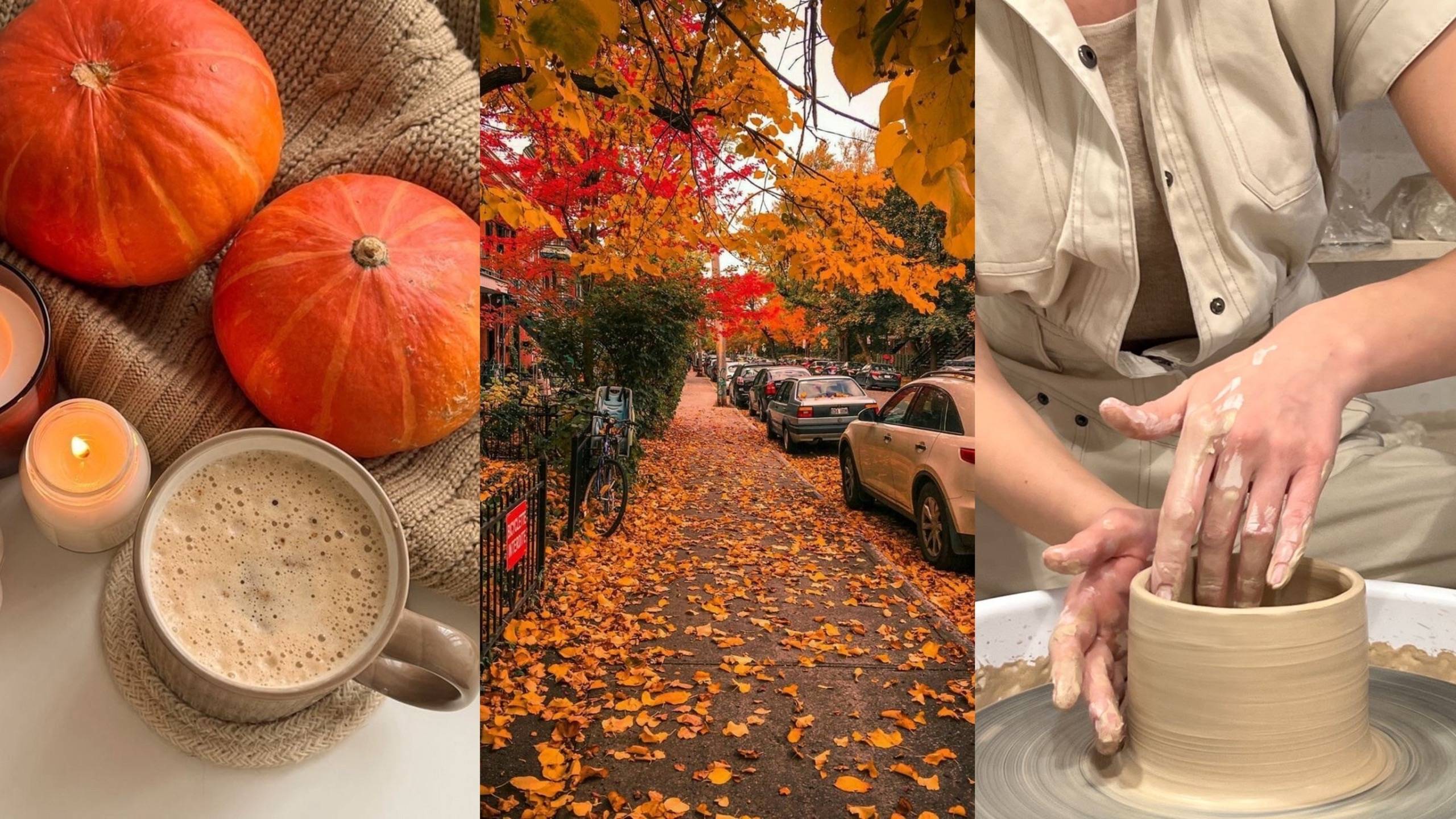 Поиск дома, сезонные рецепты, мастер-класс по гончарному делу