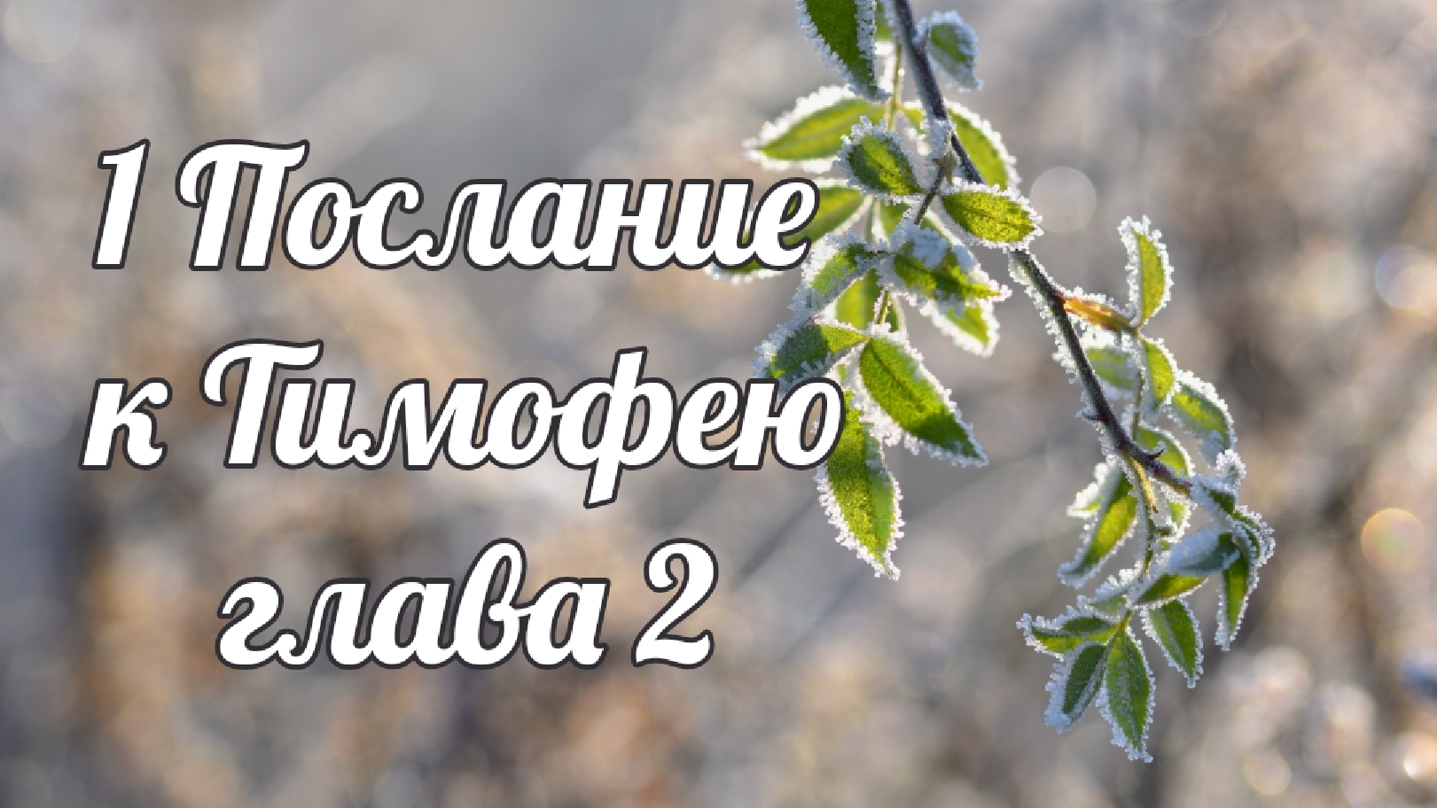 1 Послание к Тимофею глава 2
