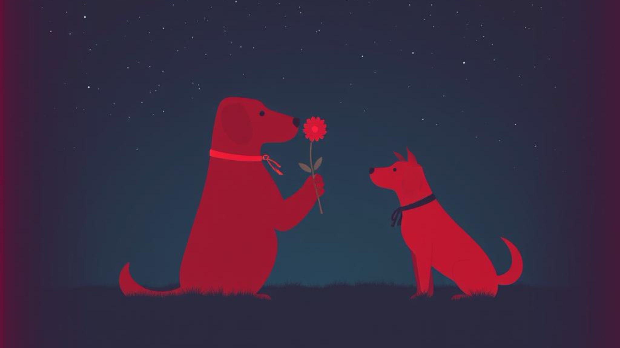 Steam Powered Crocodile & Suno. О любви. 1014