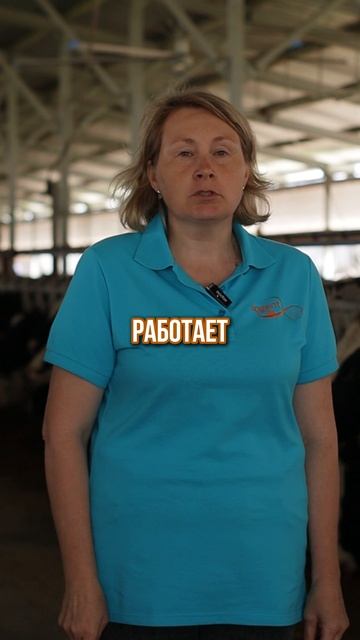 📈Как аутсорсинг воспроизводства стада меняет молочные фермы