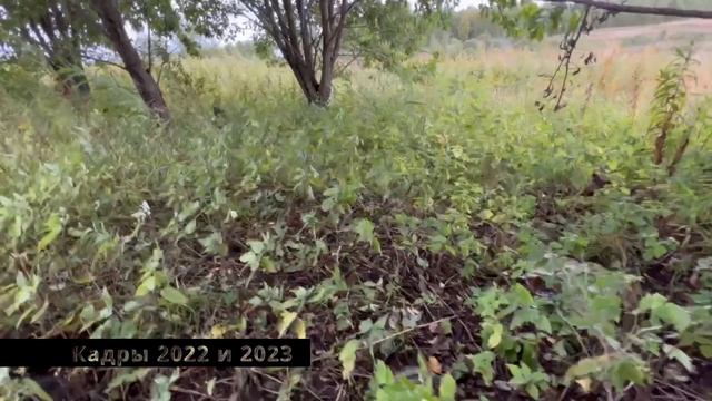 5. В Карелию на самодельном кемпере по диким местам. В сказочную Калевалу за Сампо.