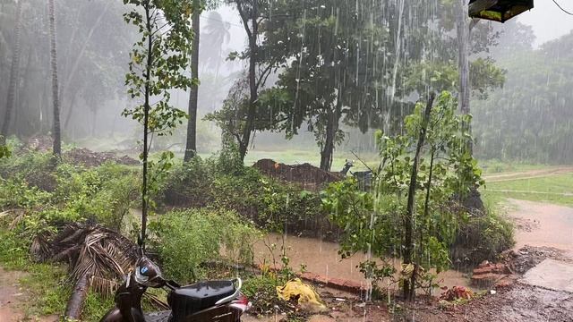 Индия. Гоа. Летний Дождь))) India. Goa. Summer Rain.