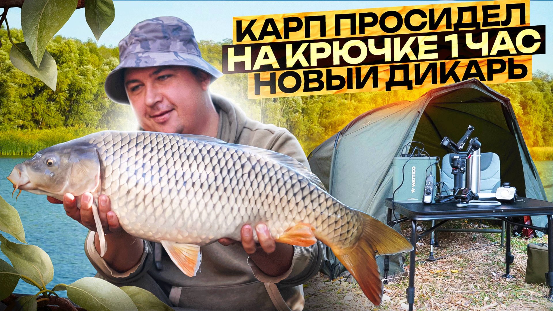 Чуть не проспал карпа! Рыбалка на новом дикаре по холодной воде. Осенний карпфишинг.