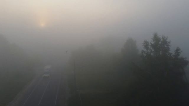 Мир, верность, любовь