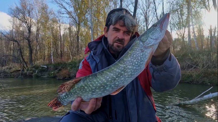 СЕЗОН ЗАКРЫЛ ХИЩНИКОМ !!! Рыбалка на Оби 13 октября 2025г.