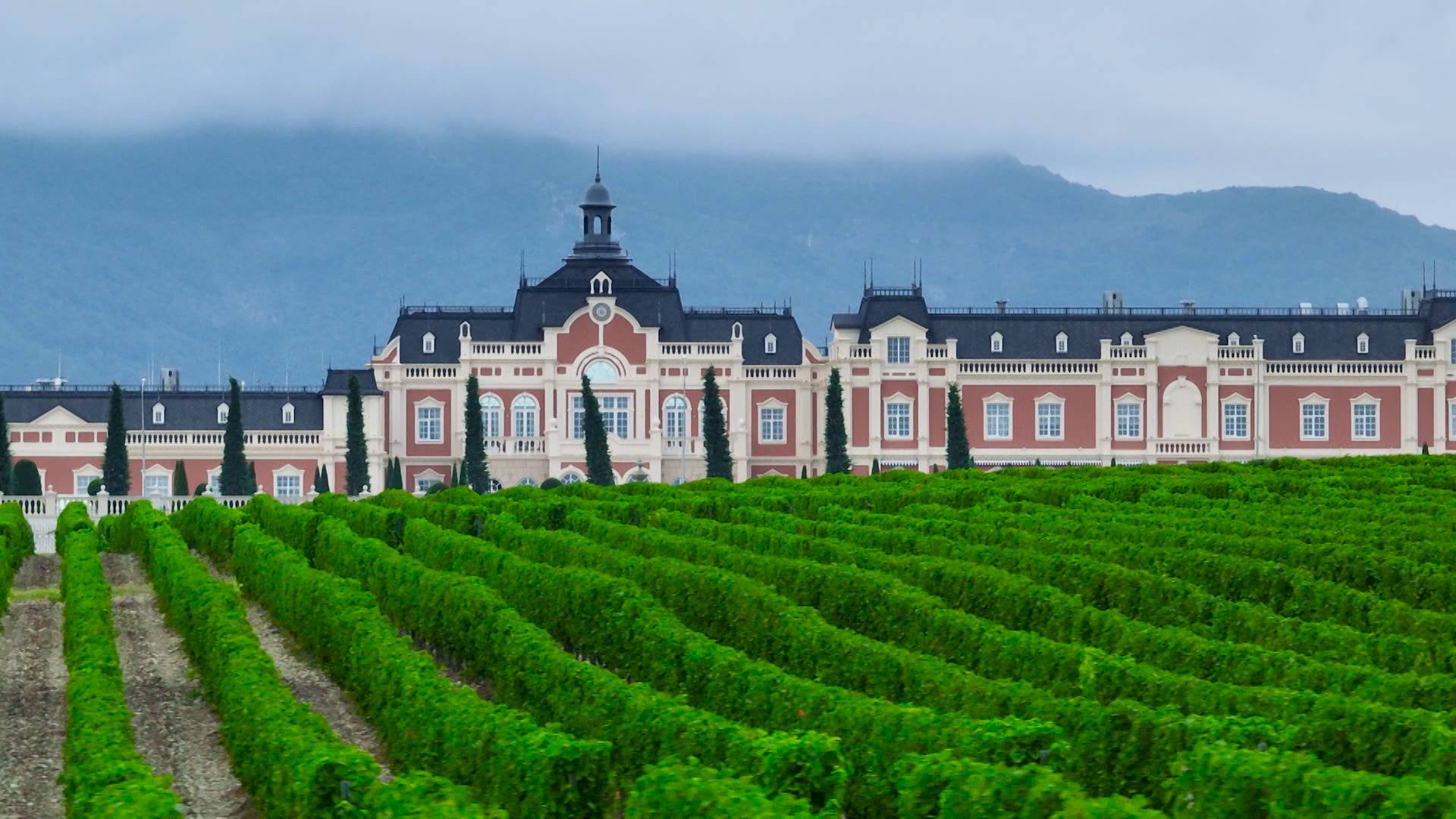 Путешествие на винодельни. Реальный сектор. 09.10.2025