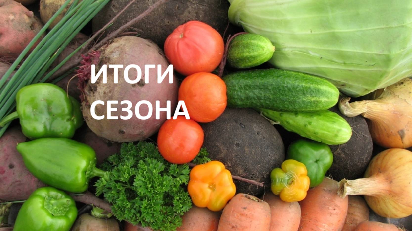 Итоги огородного сезона, удачи и неудачи выращивания растений. (Архив)
