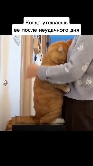 Успокаиваю ее после тяжёлого дня