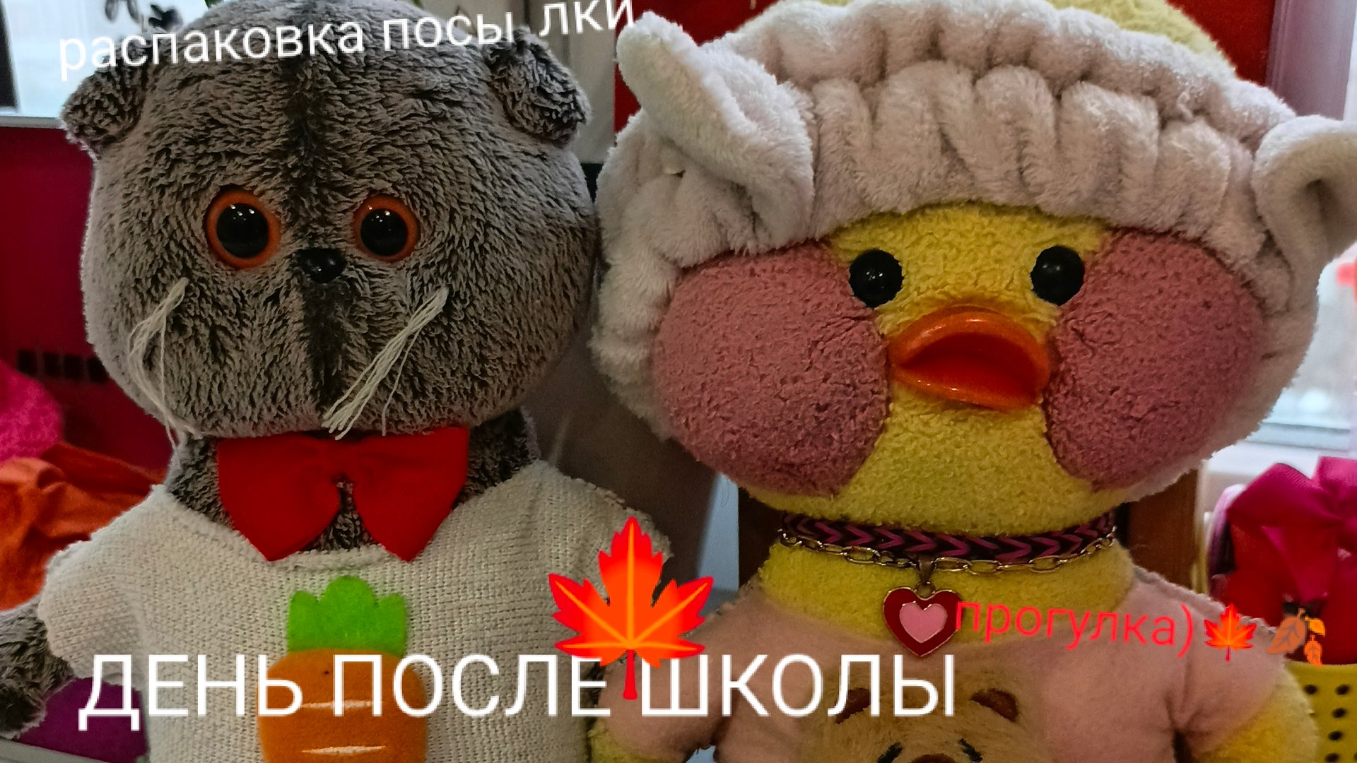 НАШ ДЕНЬ ПОСЛЕ ШКОЛЫ)🍁 РАСПАКОВКА ПОСЫЛКИ ОТ АЛИНЫ) НАША ОКТЯБЬСКАЯ ПРОГУЛКА)🍂