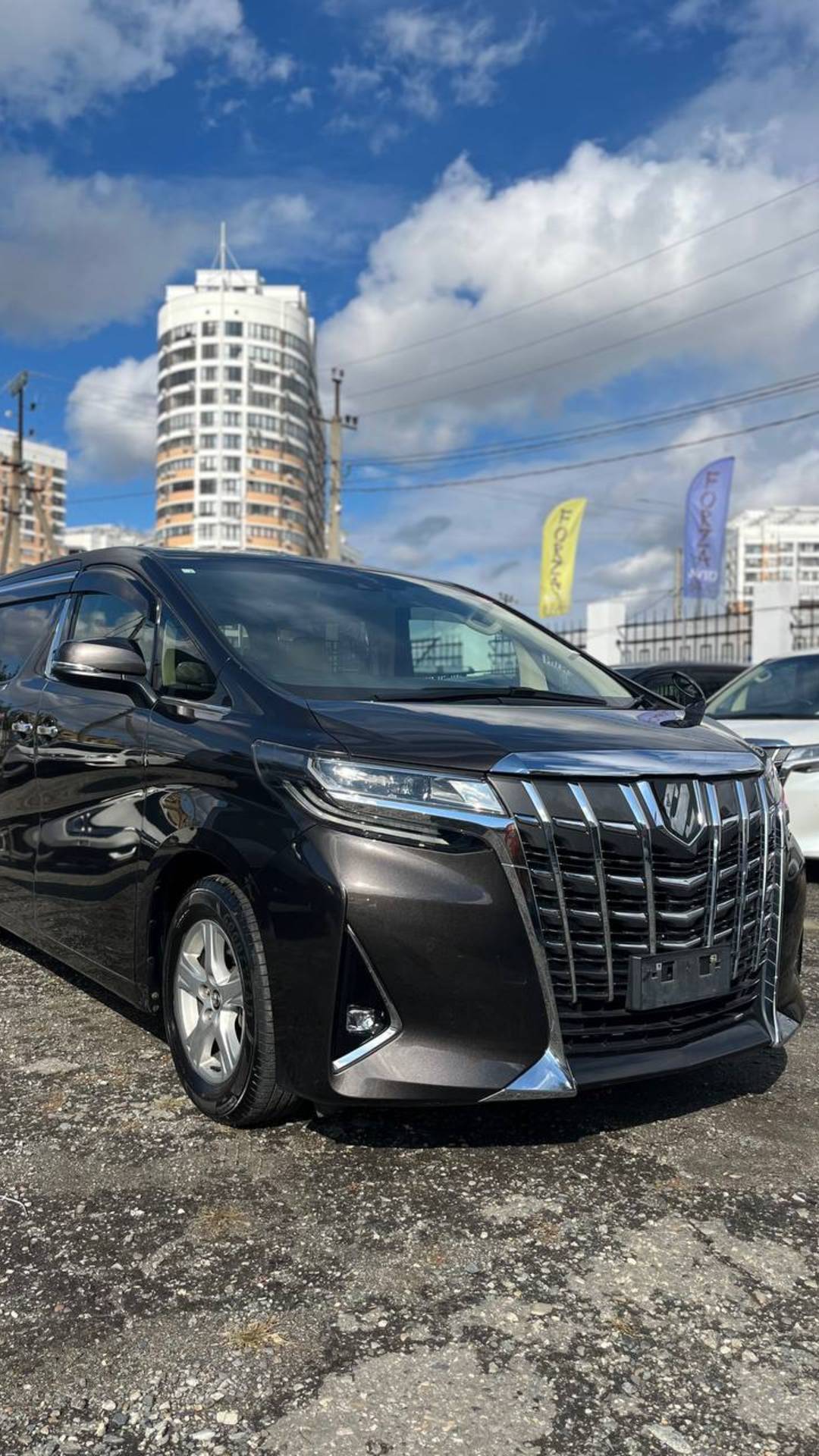 TOYOTA ALPHARD, теща оценит!