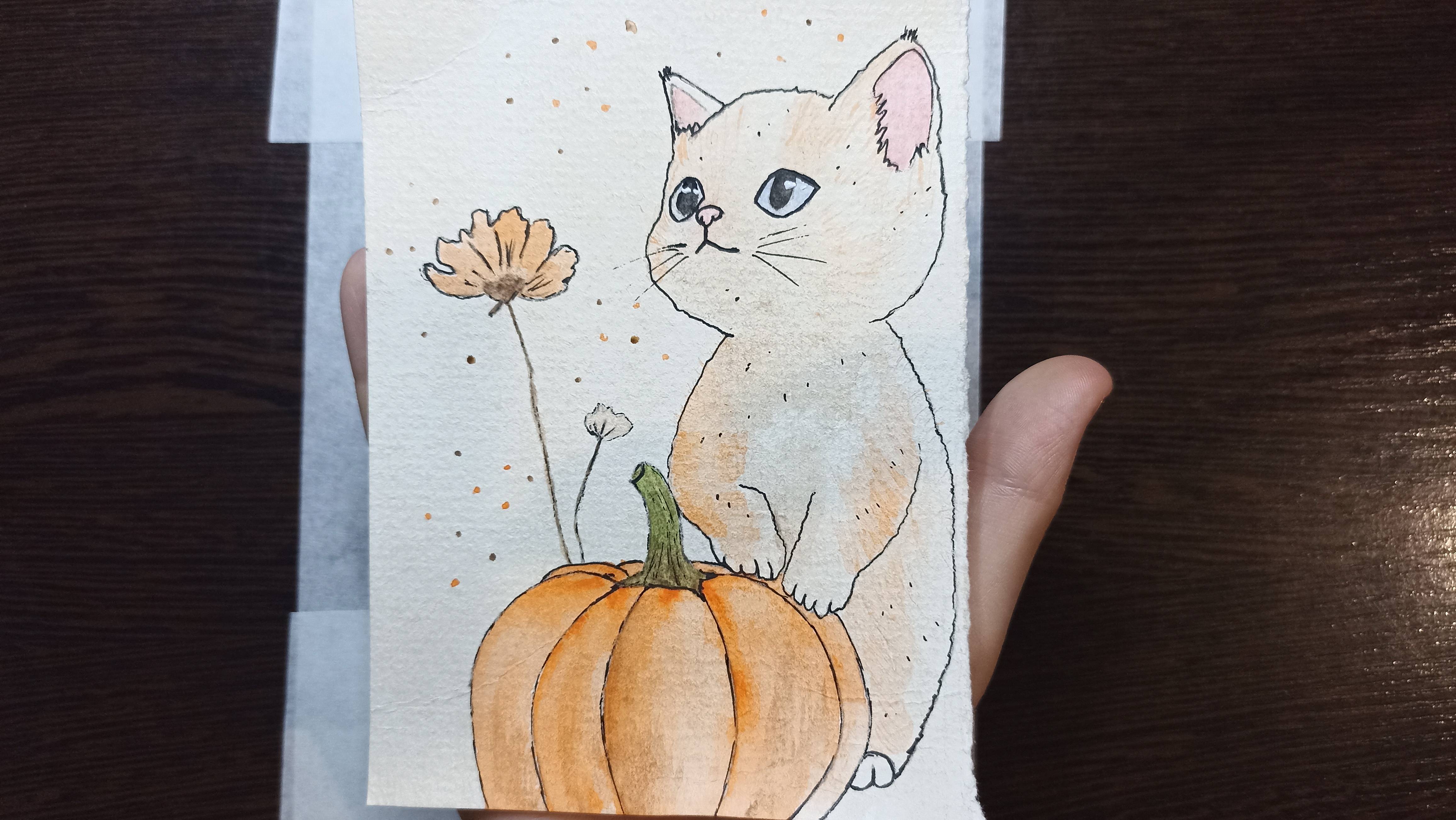 Рисунок акварелью / Котик с тыквой