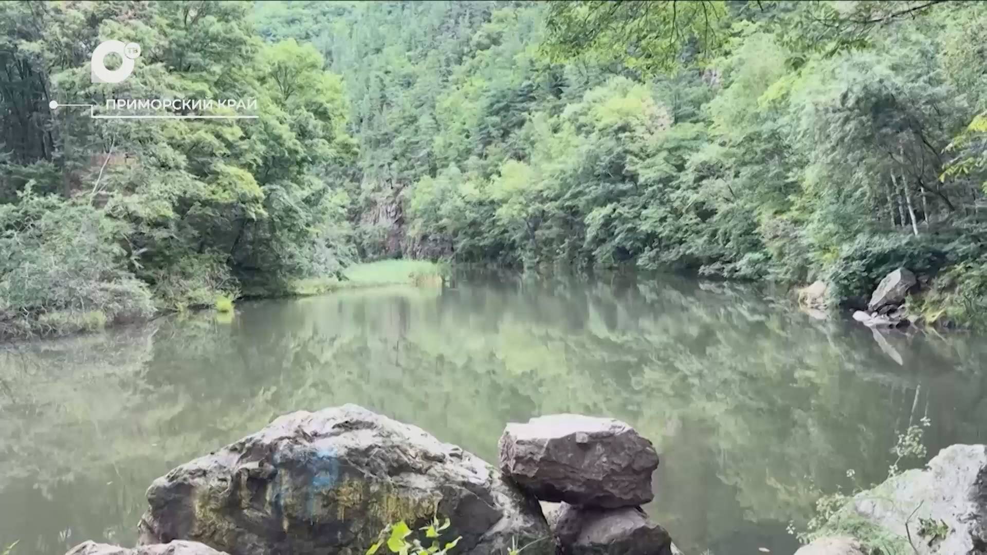 Разведка блогом / 14.10.25