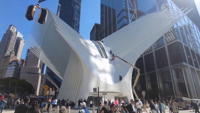 New York- walking around. 40 000 steps a day.