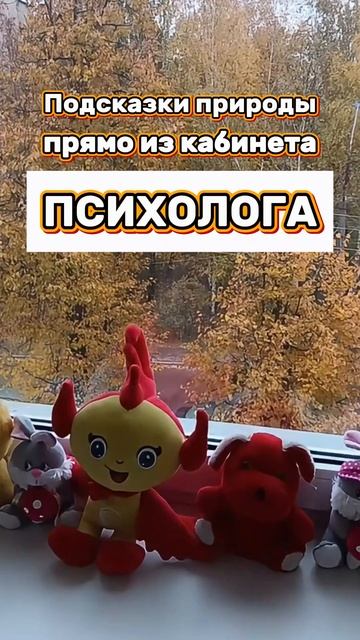 Подсказки природы - прямо из кабинета психолога #психология