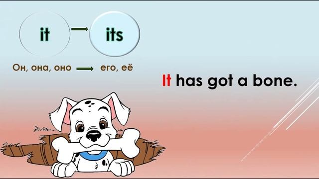 Личные и притяжательные местоимения | Possessive pronouns |