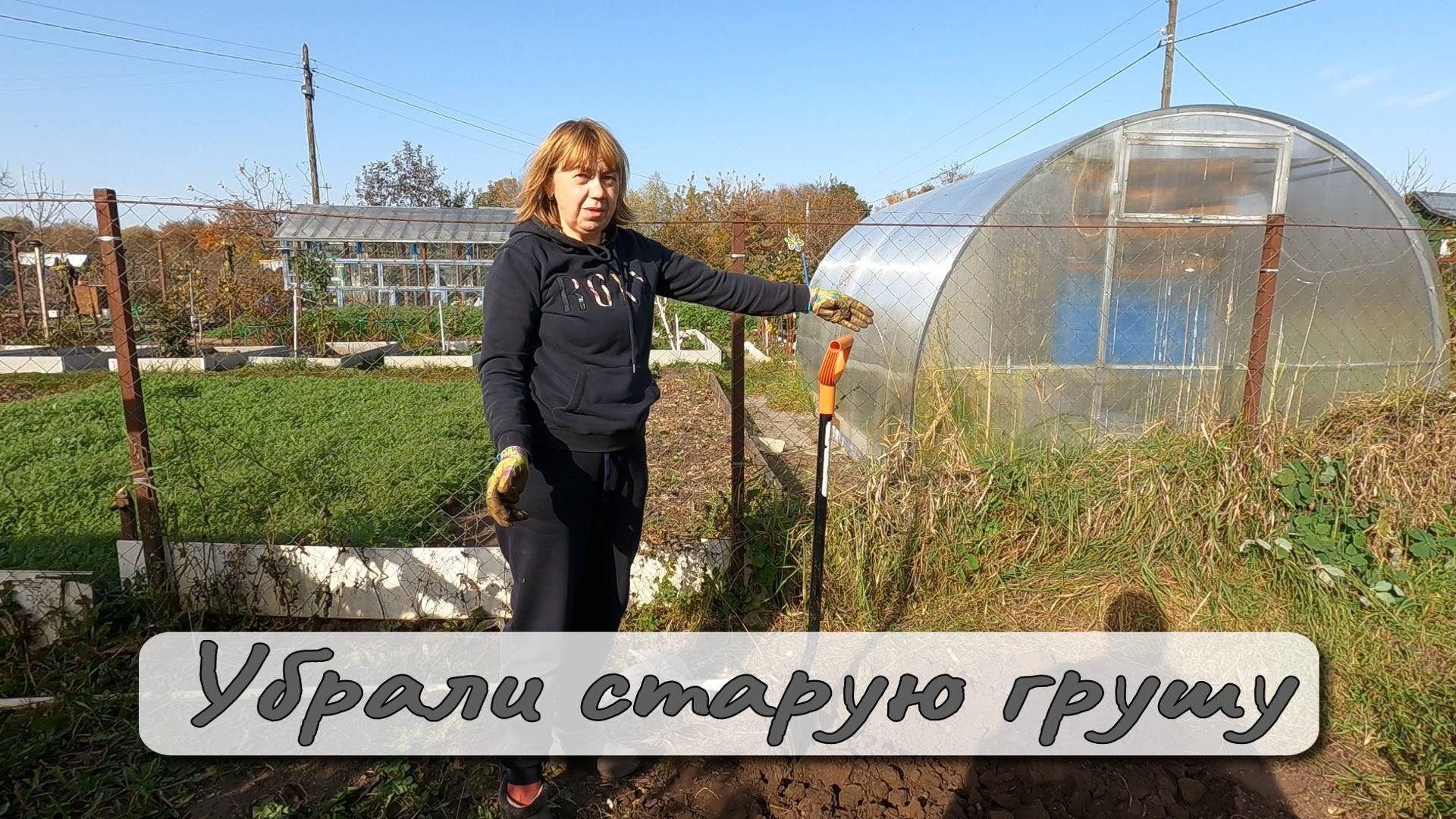 Убрали старую грушу