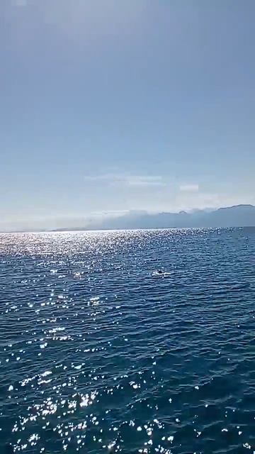 Покой на море и устремления в его глубины. Наталья Гришаева. Мир Универсологии