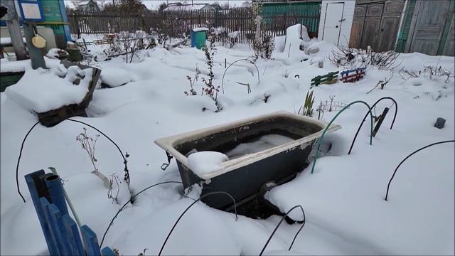 Первый раз в жизни так копаю морковь // Наша дача в октябре // Мы в шоке