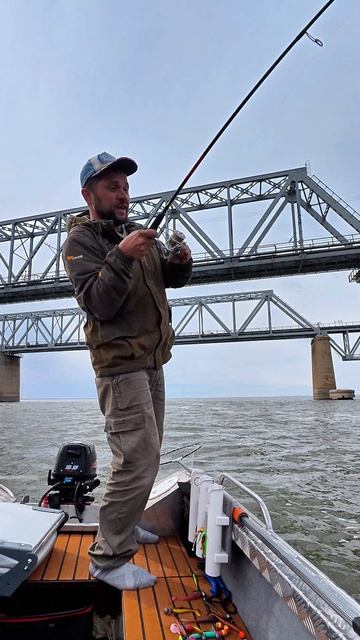 🔥 СУДАК сам прыгал в лодку! #рыбалка #fishing #судак #спиннинг